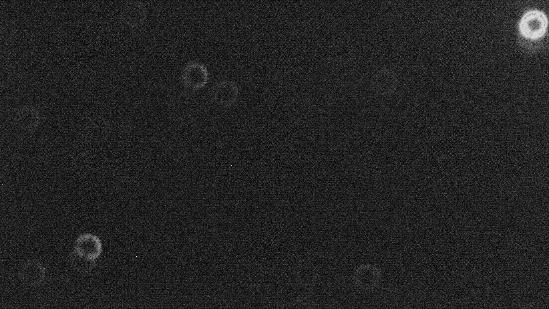 Astromaster 130eq with Altair Astro GP cam 385c Help! - TheSkySearchers